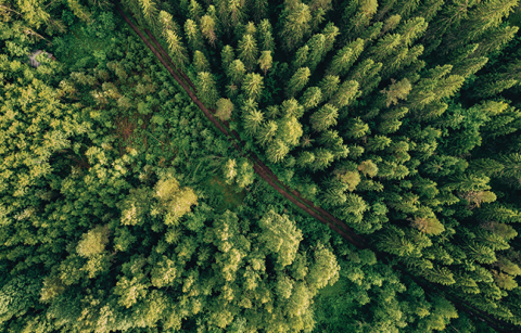 Introduction to the NWMO | NWMO Annual Report 2021